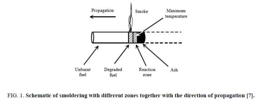 An Experimental Insight into Thermoacoustic Smoldering - LD乐动体育官网,乐动app ...